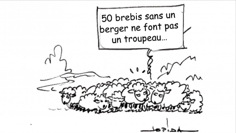 dessine moi un mouton